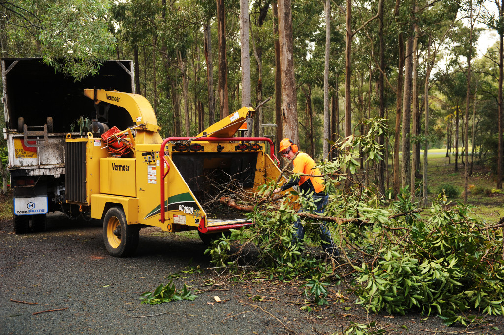 Tree Services | Sam The Tree Man